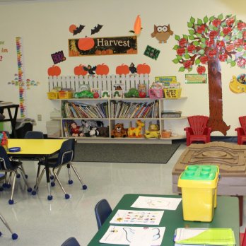Tree House Child Care | Gallery